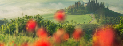 Tipos de foco fotográfico: entenda todas as modalidades - Instaarts