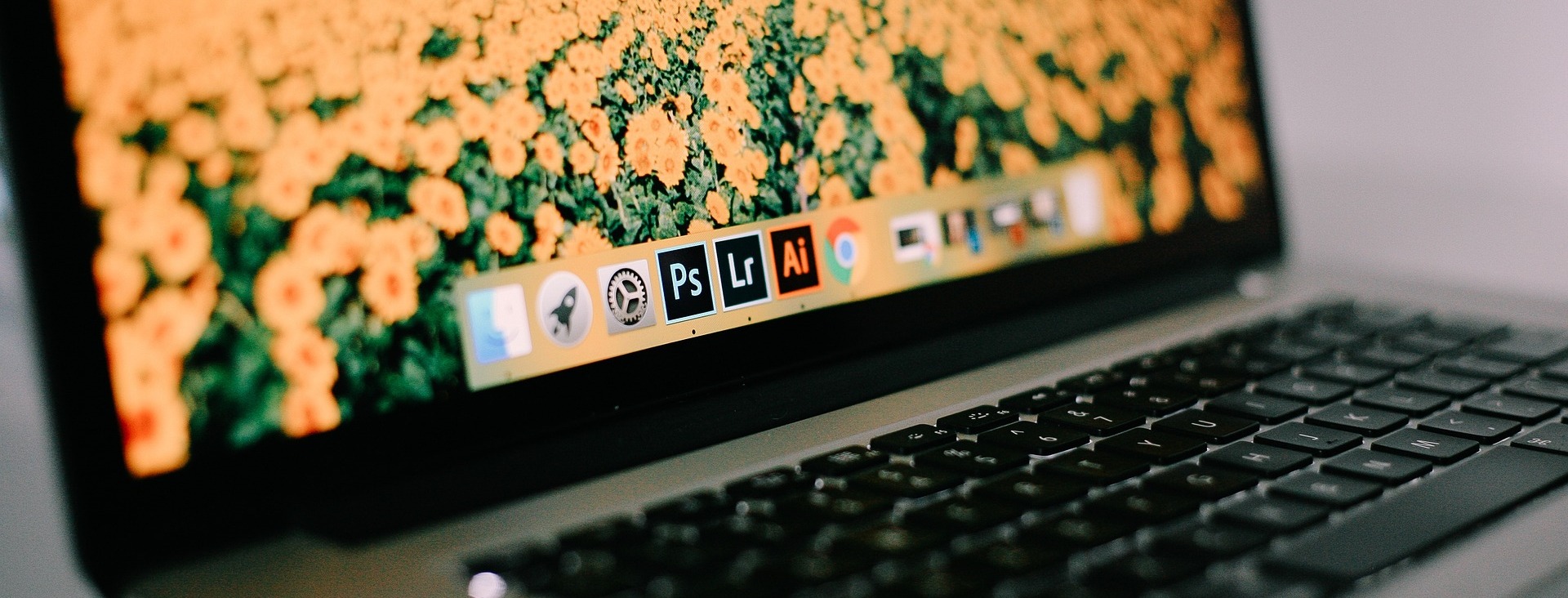 17 programas para edição de fotos - Instaarts